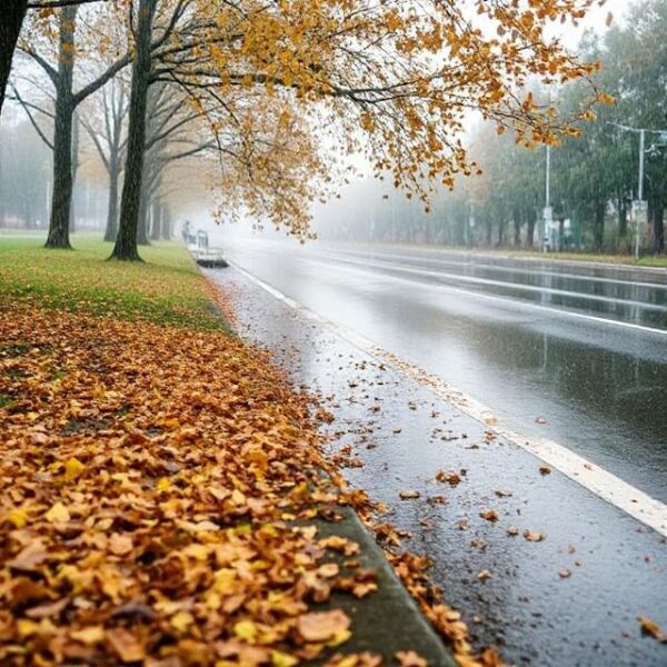 Preventing Fall and Slip Incidents During Autumn Rains: Essential ...